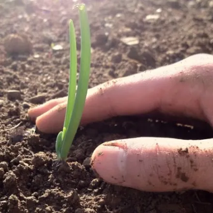 Getting God's Word Inside You | InterVarsity